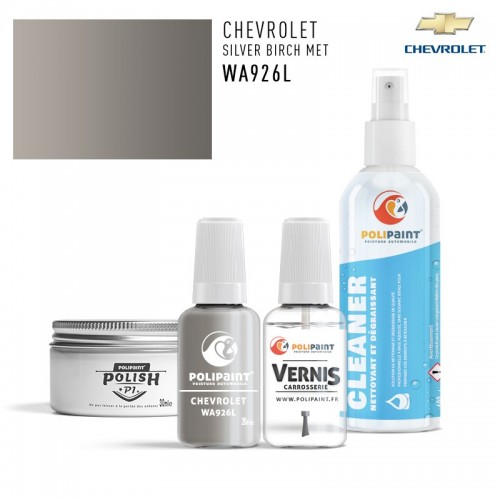 Chevrolet Avalanche WA926L SILVER BIRCH MET Stylo Retouche Peinture ...