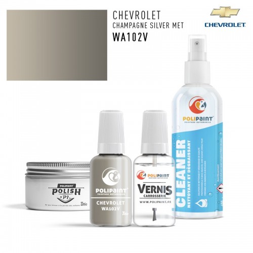 Chevrolet Aveo WA102V CHAMPAGNE SILVER MET Stylo Retouche Peinture ...