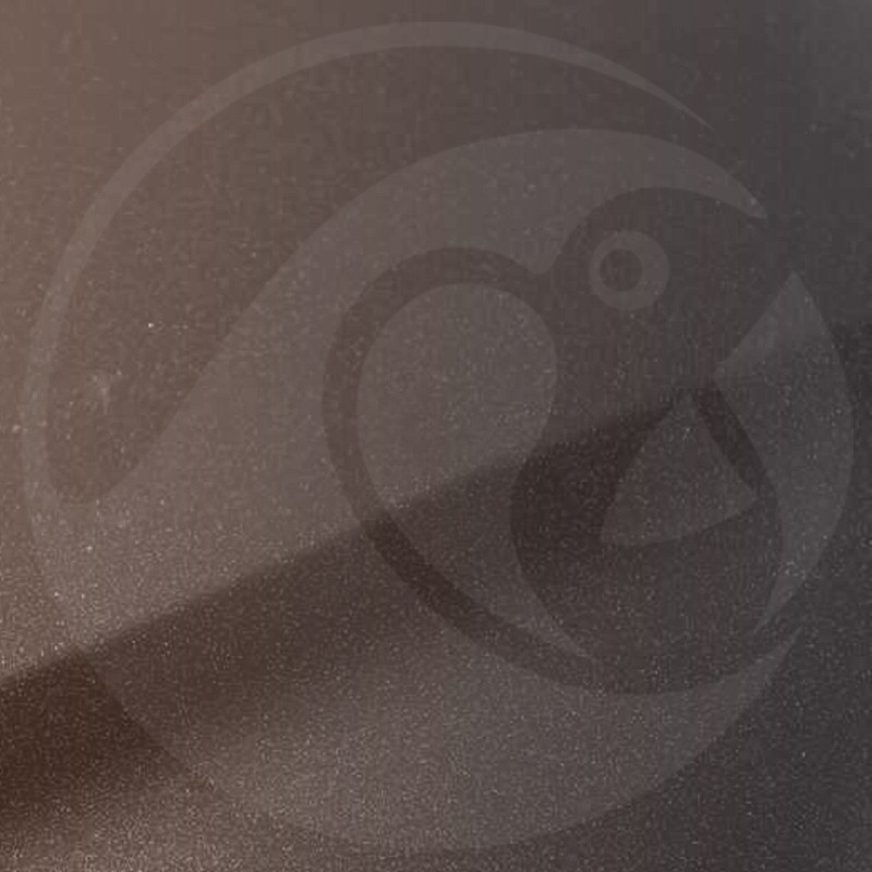 Chevrolet Blazer WA333D SMOKEY CARMEL MET Stylo Retouche Peinture ...