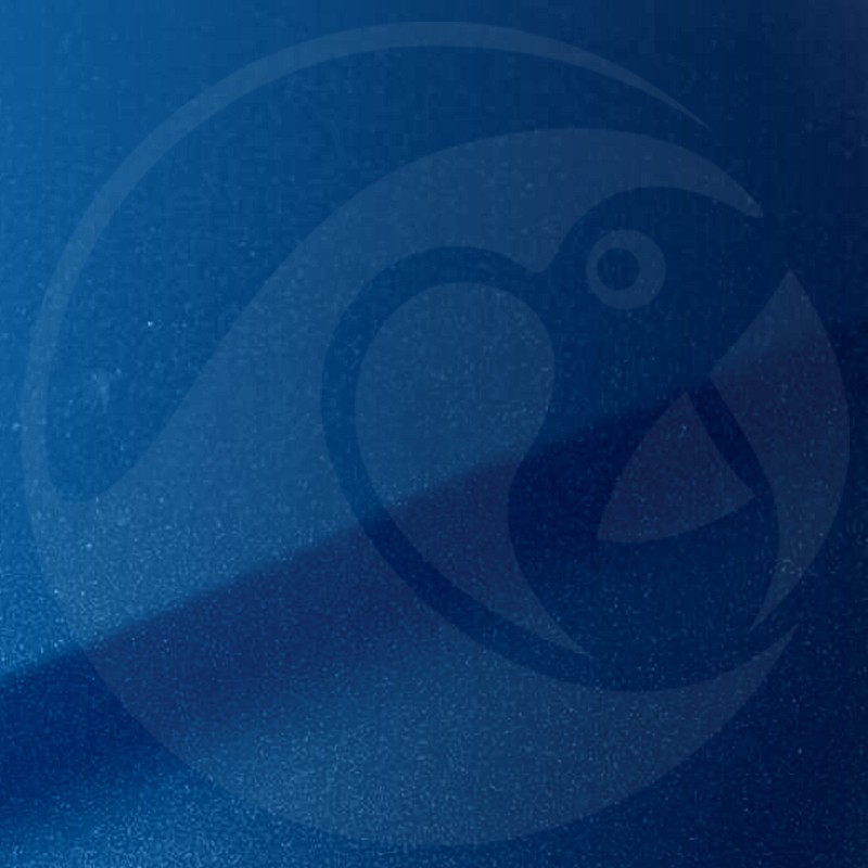 Suzuki Alto ZAK BEAM BLUE PEARL Stylo Retouche Peinture | Polipaint