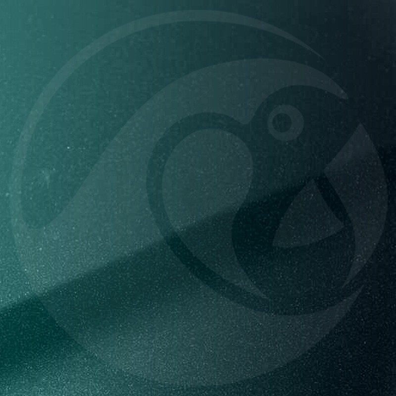 Toyota Avalon 6N7 SIERRA GREEN MET Stylo Retouche Peinture | Polipaint