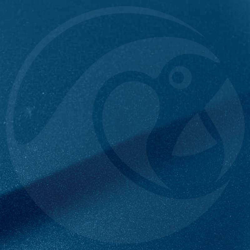 Dodge Caravan SQ1 LIGHT TEAL Stylo Retouche Peinture | Polipaint