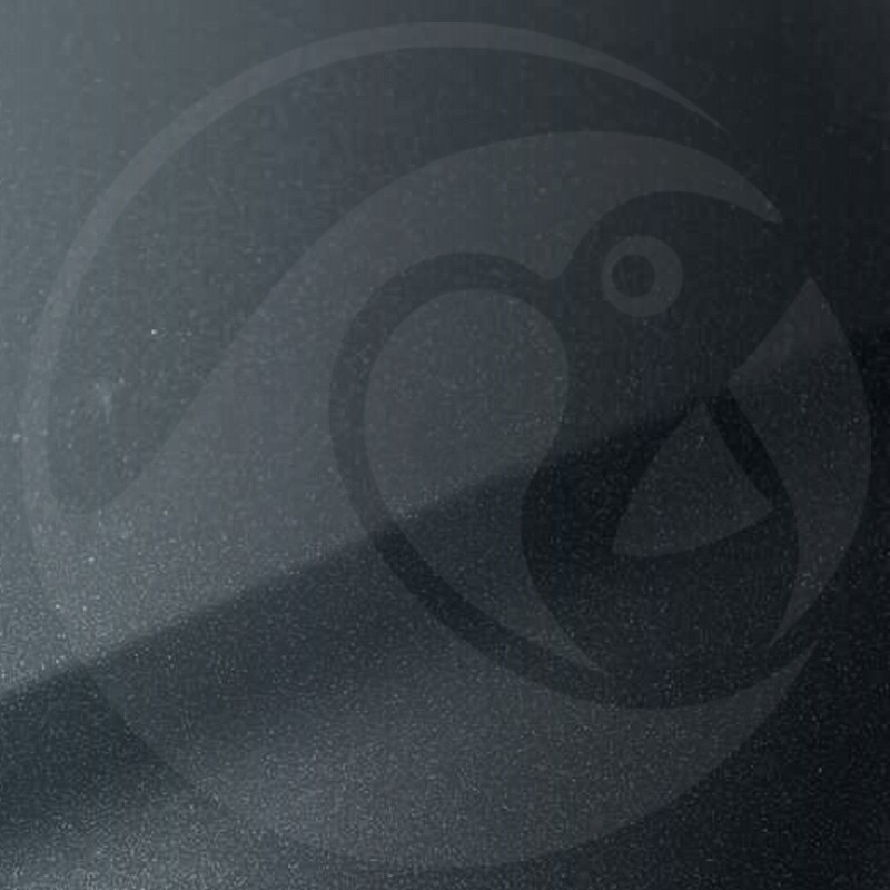 Honda Accord NH658P-C CARBON GREY PEARL Stylo Retouche Peinture | Polipaint