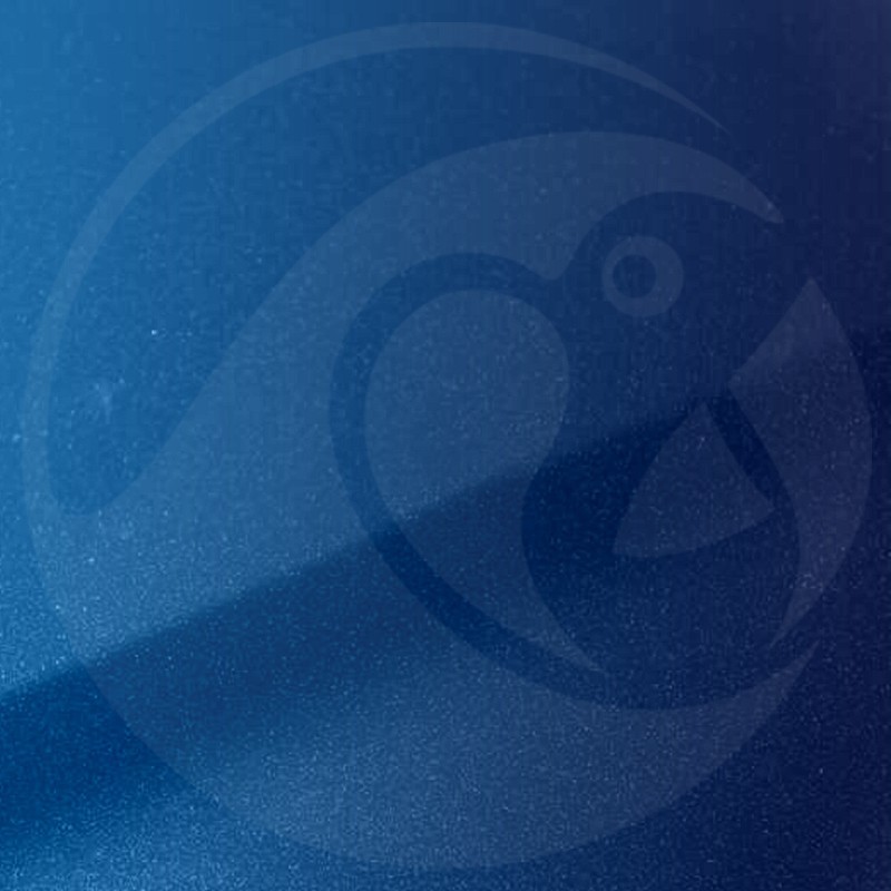 Honda Civic B95P-C ELECTRON BLUE PEARL Stylo Retouche Peinture | Polipaint