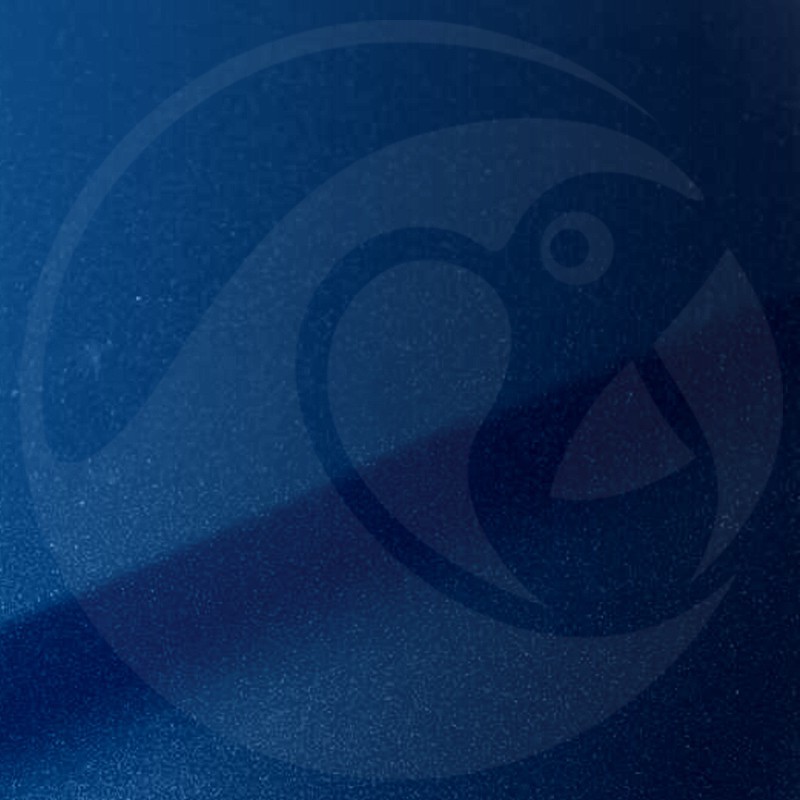 Honda Civic B529P-5 FIJI BLUE PEARL Stylo Retouche Peinture | Polipaint