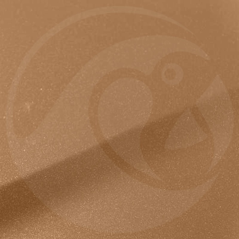 Isuzu Med Duty 9V9 DOESKIN TAN Stylo Retouche Peinture | Polipaint