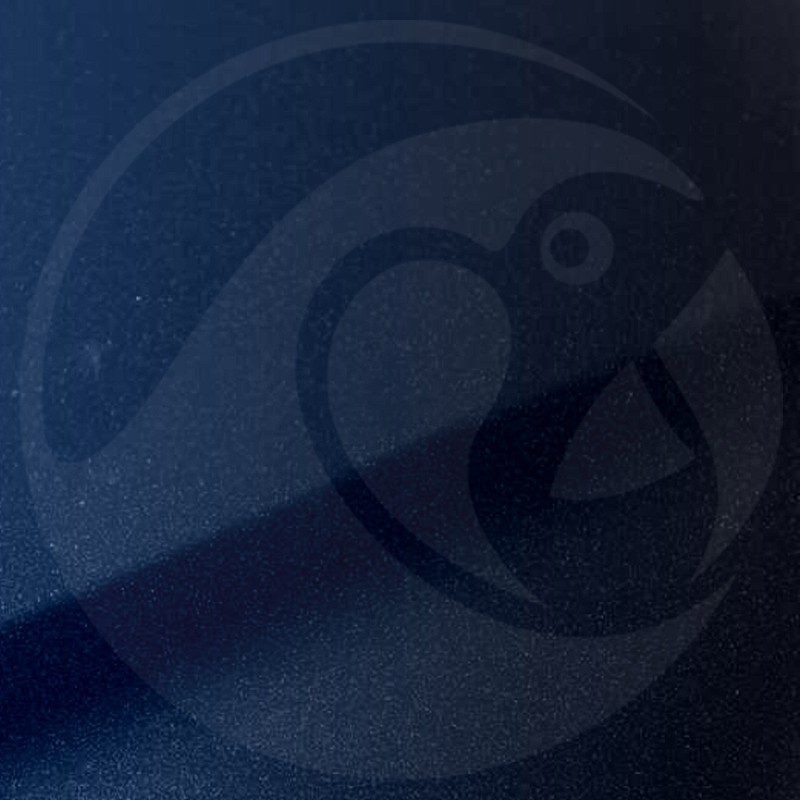 Nissan 200Sx BN6 STARFIRE BLUE PEARL Stylo Retouche Peinture | Polipaint