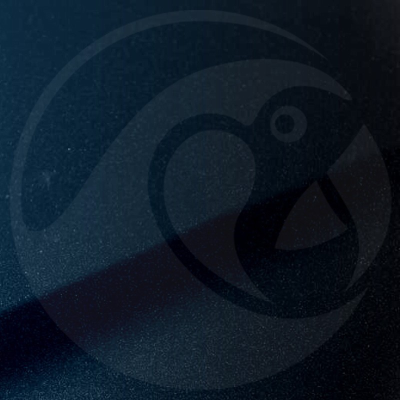 Nissan 350Z BW5 HERMOSA BLUE PEARL Stylo Retouche Peinture | Polipaint